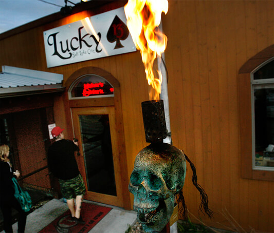 Tobala or not Tobala - Mezcal Week