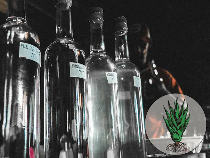 S.A.C.R.E.D. Agave Spirits Tasting - Mezcal Week